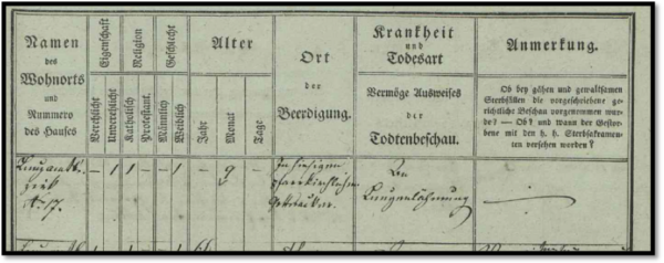 Church Record Headings – Explained (Premium) – Germanology Unlocked